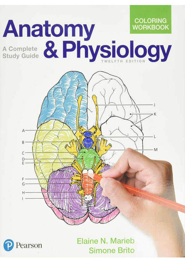 Anatomy and Physiology Coloring Workbook: A Complete Study Guide 12th
